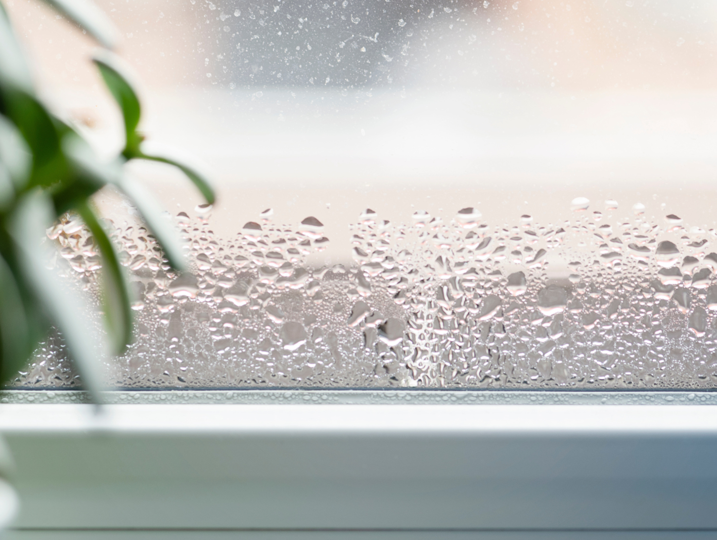 How To Stop Condensation - is it as simple as opening the windows?