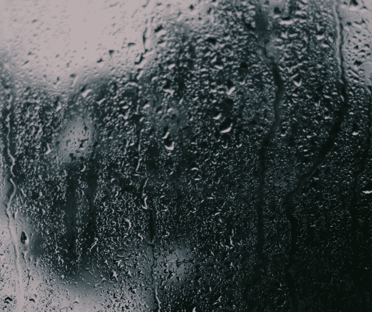 Damp in loft - do I need a dehumidifier? | Meaco UK