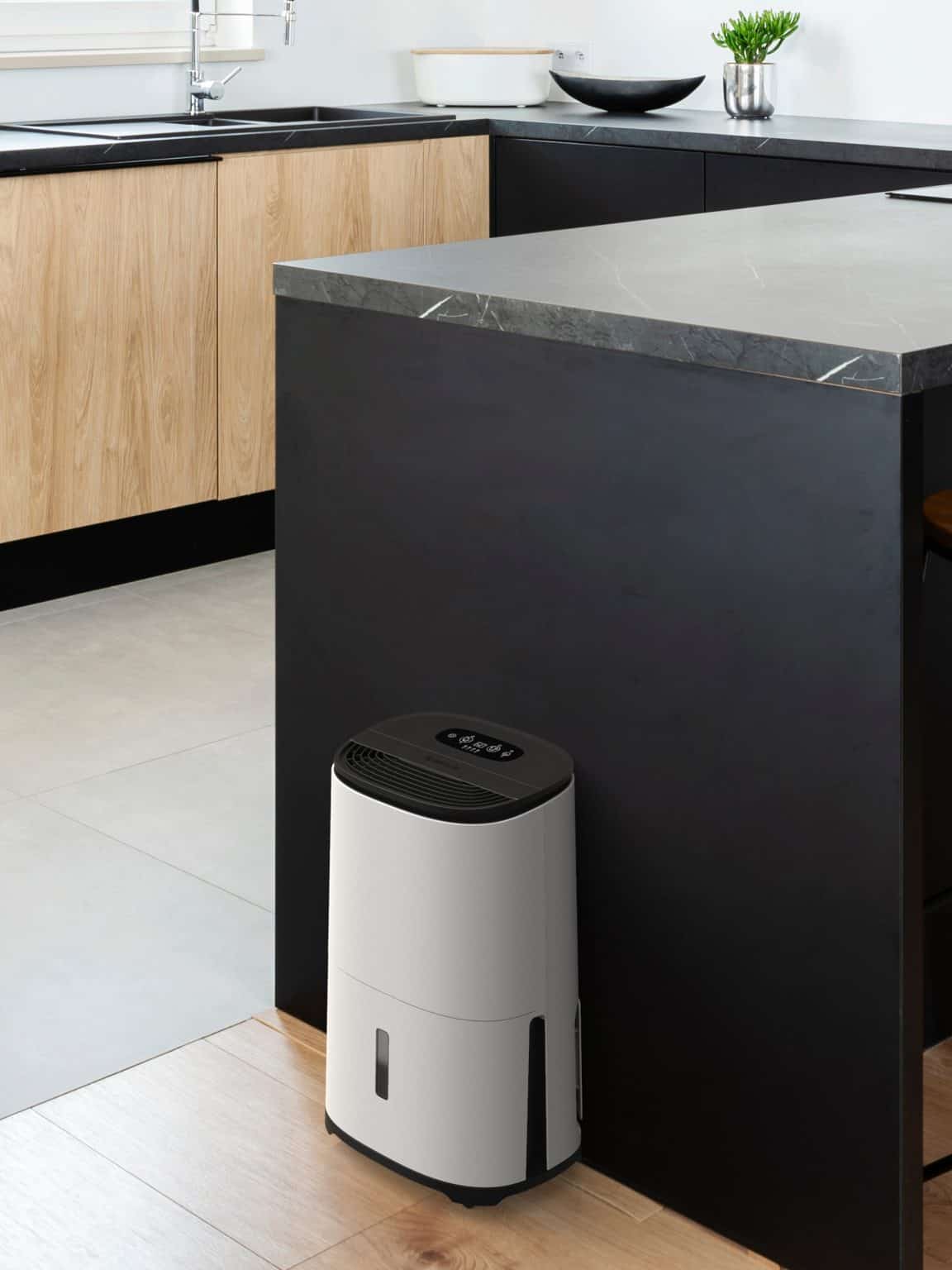 Damp in loft - do I need a dehumidifier? | Meaco UK