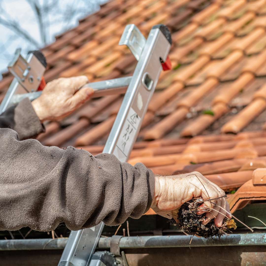 Damp in loft - do I need a dehumidifier? | Meaco UK