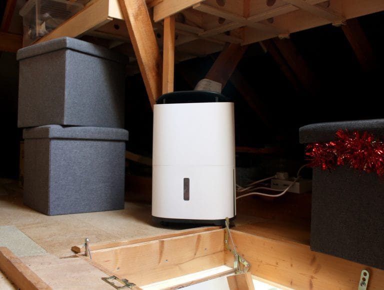 Damp in loft - do I need a dehumidifier? | Meaco UK